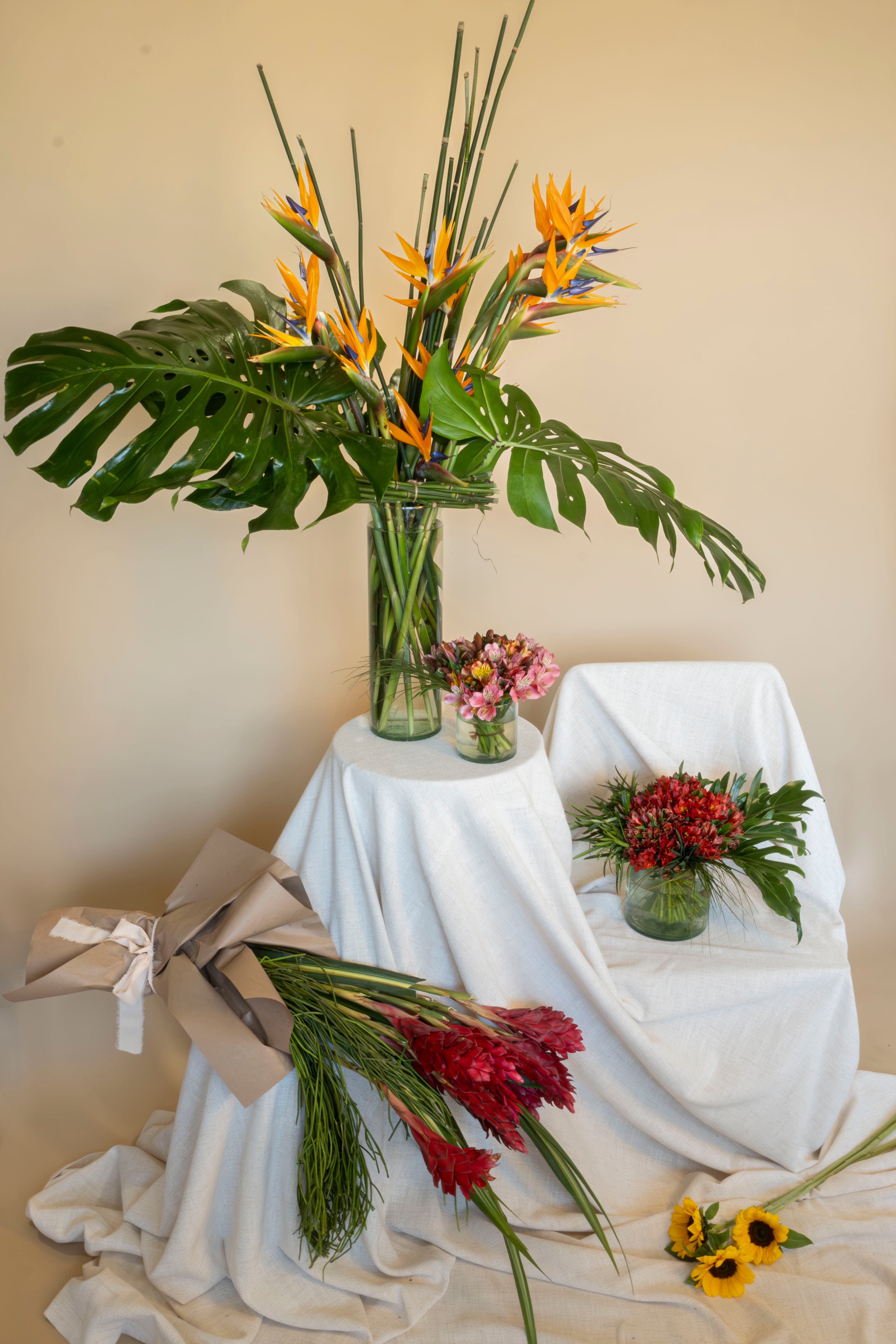 Membresía Premium Lum Flores – LUM Flores